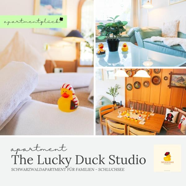 Die Fröhliche Ente Retro Studio 1208 Mit Pool - Schluchsee
