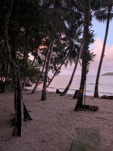 Las Raices Locas - Panamá