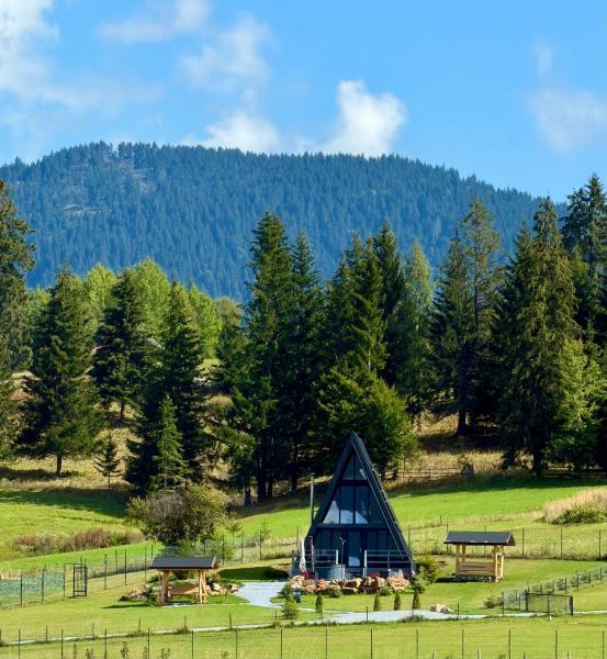 Chalet Charme Bucovina - Vatra Dornei
