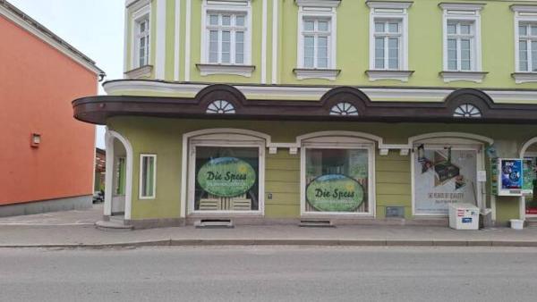 Appartement Traisen Tiefenbacher - Hainfeld