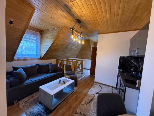 Vila Mina Lux - Mokra Gora