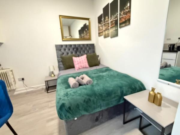 Mint Studio Flat - Harrow