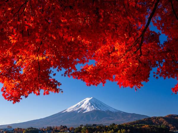 Kamenoi Hotel Fuji - Mount Fuji