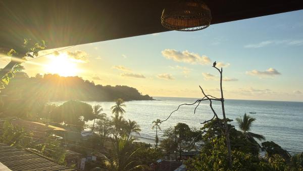 Casita Happy Feet And Tours Corcovado - Costa Rica