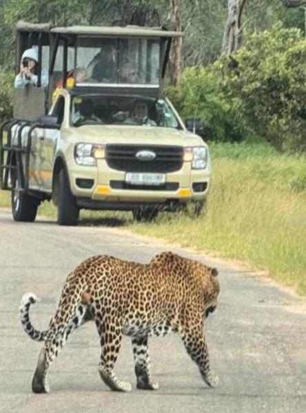 Ashridge Safari Package - Hazyview
