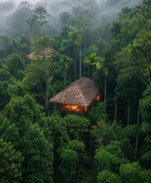 The Woods Resorts Wayanad - 케랄라