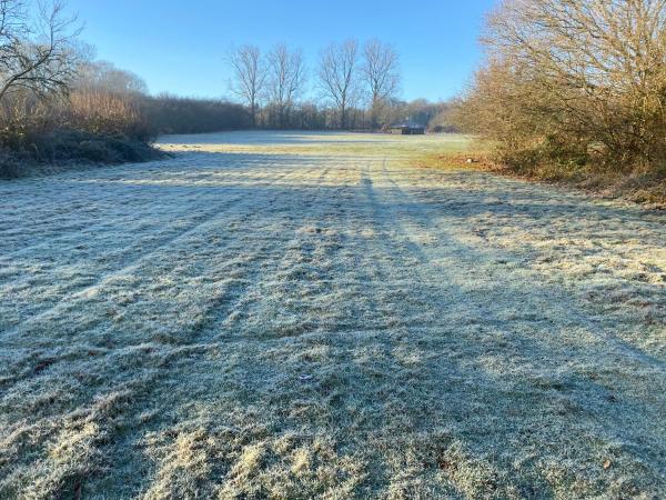 Woodland Retreat With Views, 11 Acres Surrey Hills - Guildford