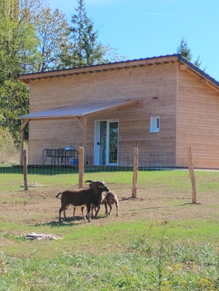 Le Pré Des Moutons - Auxonne