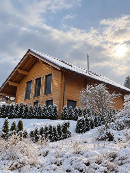 Modern Spa Chalet Near Interlaken With Ac, Hot Tub And Lake View Terrace - Sigriswil