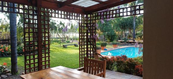 Kalamata At The Secret Olive Garden - Oudtshoorn