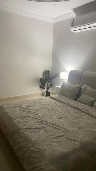 استديو سكني - Jeddah