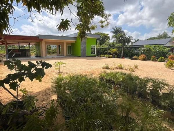 Tropical Nest - Suriname