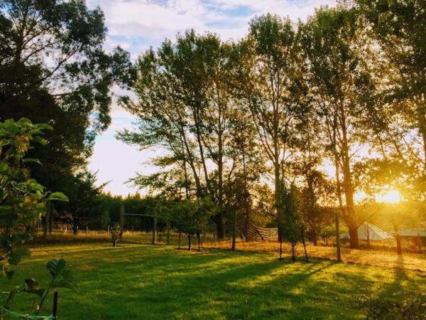 Height Of Dunedin Farm - Warm Private Standalone Chalet With Panoramic Night Skies - Dunedin