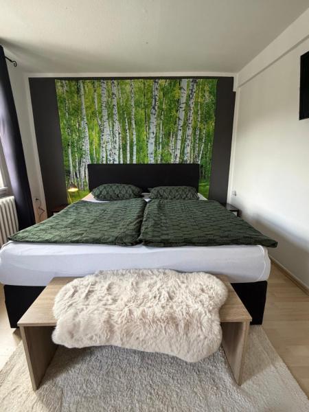 Fluss-bett - Melsungen