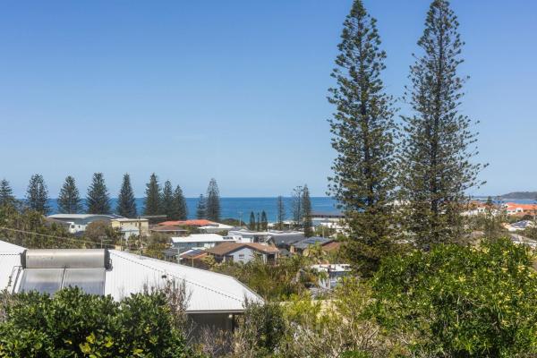 Tawny Roost - Lifestyle Yamba - Yamba