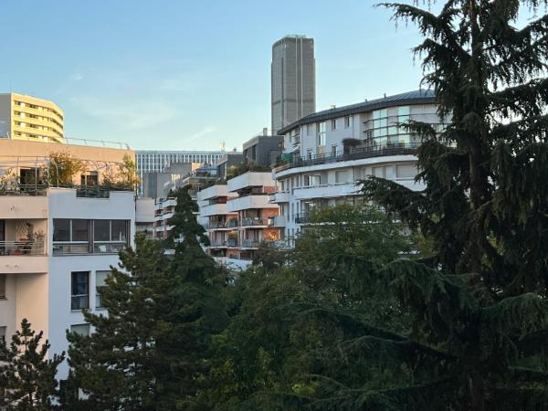 Superbe, Appartement, Spacieux Et Lumineux Raffiné - Boulogne-Billancourt