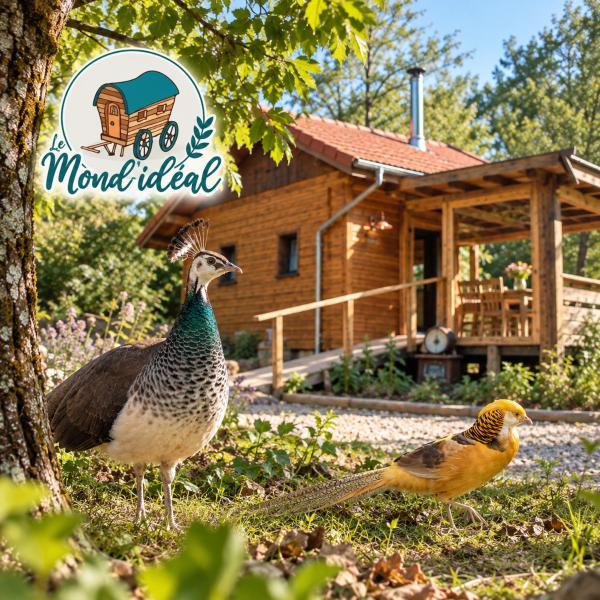 Le Chalet Des Paons - Le Mond'idéal - Bourgogne-Franche-Comté