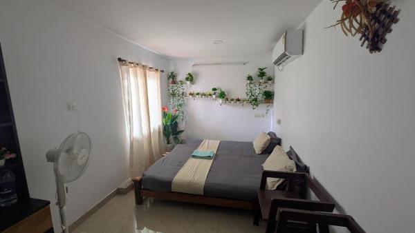 Turtle Island - Ayurveda Backwater Stay, Munroe Island - Kollam