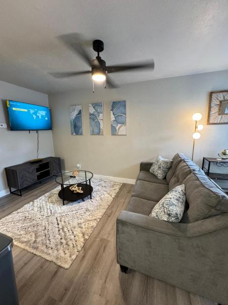 L1 Lovely Emily Apt Dallas M6 - Richardson, TX