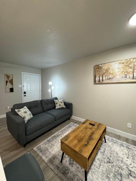 L1 Lovely Emily Apt Dallas M8 - Richardson, TX