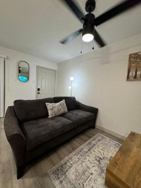 L1 Lovely Emily Apt Dallas M9 - Richardson, TX
