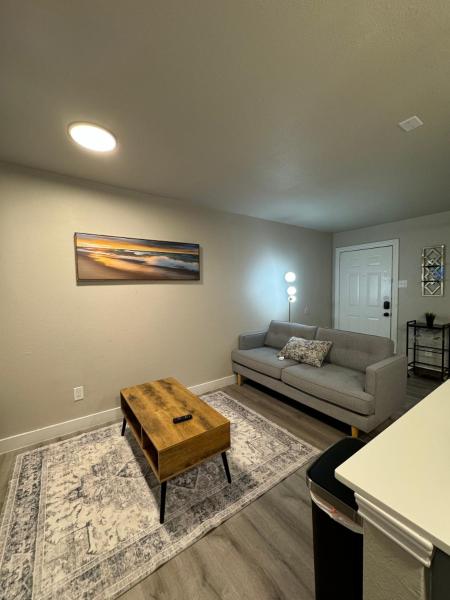 L1 Lovely Emily Apt Dallas M10 - Richardson, TX