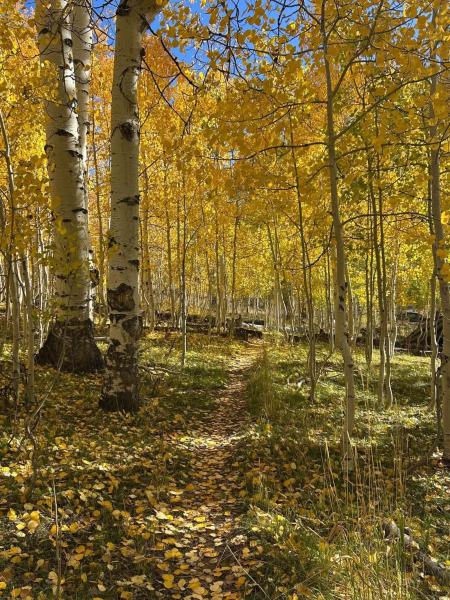 Oaks At Wasatch- Ski N Hike Cottonwood Canyons - Sandy, UT