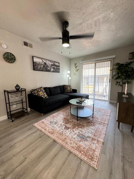 L1 Lovely Emily Apt Dallas M15 - Richardson, TX