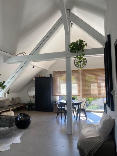 Appartement Atypique Lumineux - Ribeauvillé