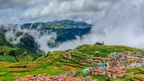 Vedha Mountain View - Kodaikanal