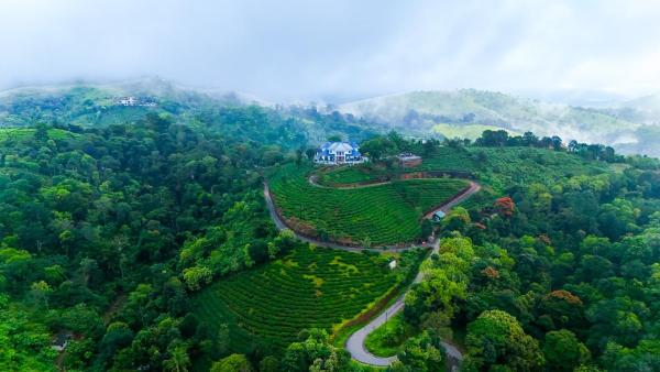 Zen Garden Vagamon - Vagamon