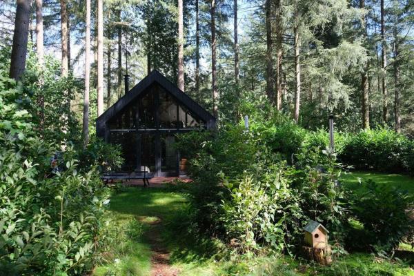 Fantastisch Luxe Boshuis I Onthaasten In De Natuur - Epe