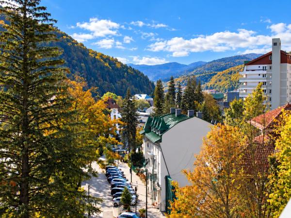 Central Park View Sinaia - Sinaia