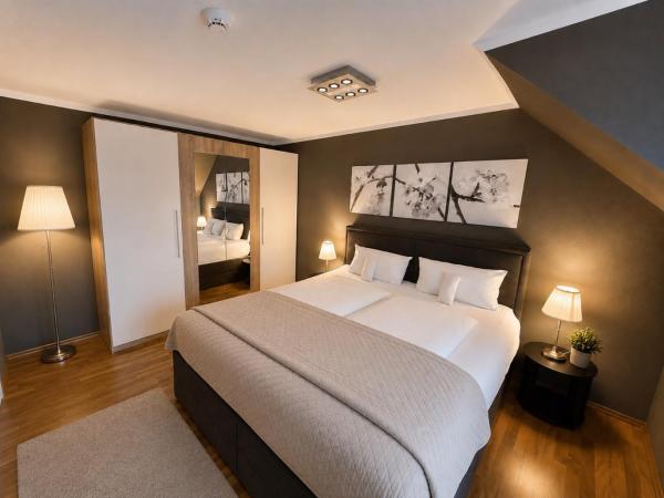 Cf15 Modern Duplex Apartment In City Center - Heidelberg