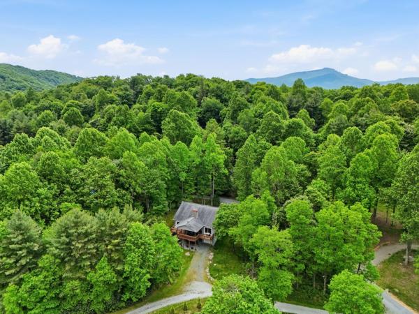 Gorgeous Cottage With Hot Tub In Boone Nc! - Boone, NC