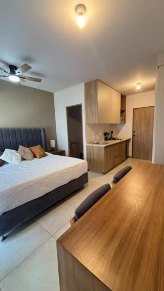 Suite King Moderna En El Centro Guadalajara - Guadalajara