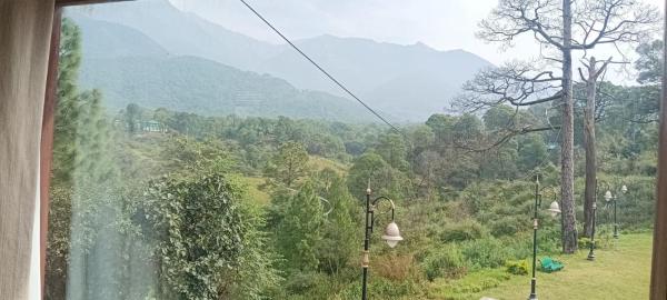 Hotel Som Kunj # Palampur Best Hotel With Mountain View # Free Parking #Room With Balcony - Palampur