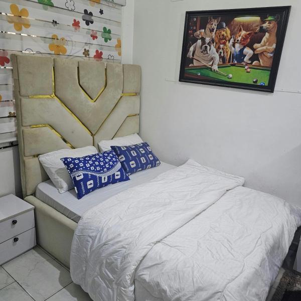 Luxury Guest Room & Parlour With Solar-inverter Backup - Abuja