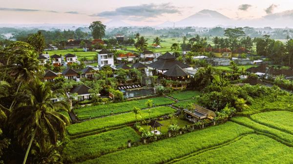 Anumana Village Ubud - Bali