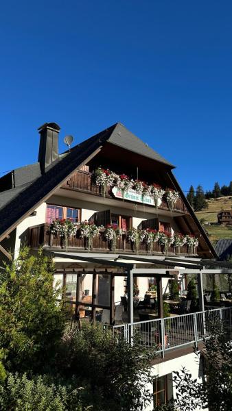 Hotel & Restaurant Grüner Baum - Die Grüne Oase Am Feldberg - Hinterzarten