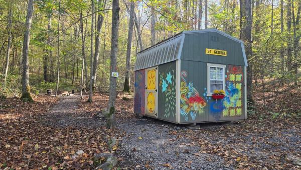 The St George - Cabin Cb5 Electricheat - Davis, WV