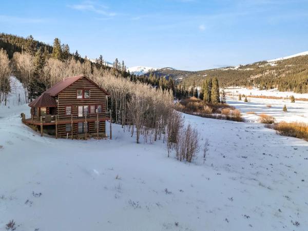 Alma Cabin 30 Mins To Breckenridge - Hot Tub - Game Room - Workstation - Starlink Wifi - Colorado
