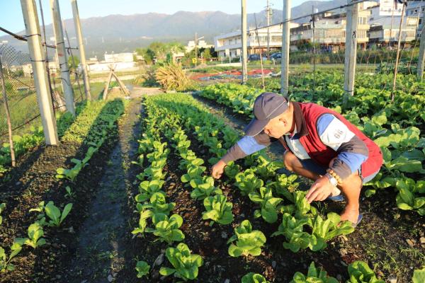 菜爺爺親子蔬宿Vegepapa B&b - 宜蘭市