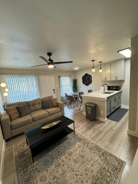 L1 Lovely Emily Apt Dallas M7 - Richardson, TX