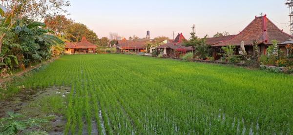Alamanda Villas, Family Villas, Pool & Local Tours - Yogyakarta