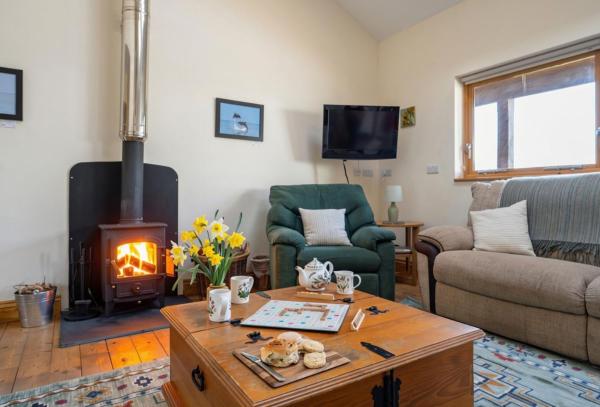 Robins Perch Eco Lodge Apartment Lampeter - Lampeter