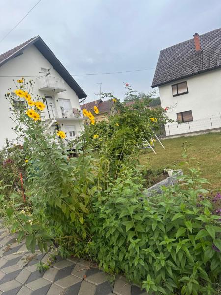 Nevade Home - Gornji Milanovac