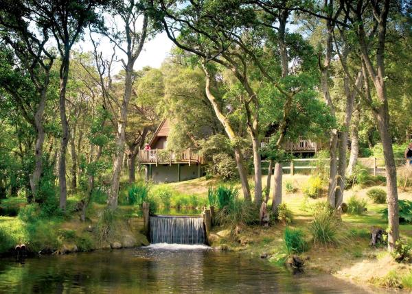Delny Highland Lodges - Scotland