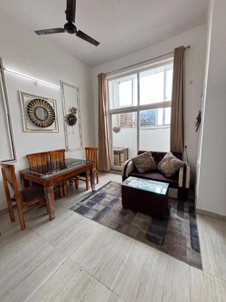 1bhk Studio Apartment Pool In Spectrum Mall Noida - Noida