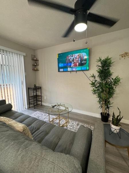 L1 Lovely Emily Apt Dallas M11 - 1 - Richardson, TX